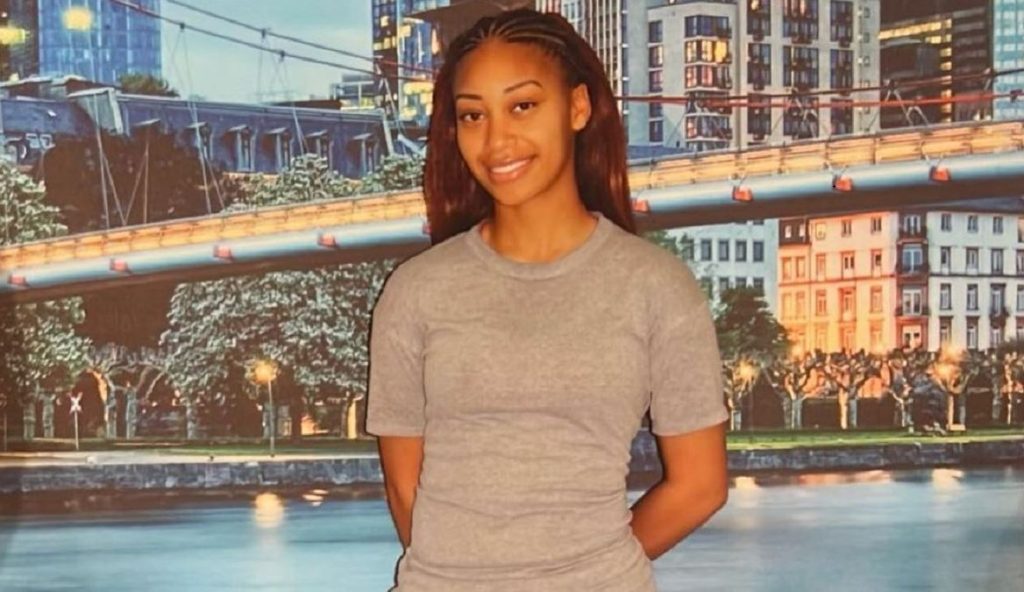 5 Best Face Swap Video Editor Software For PC 2022 (Updated) - Gistvic Blog