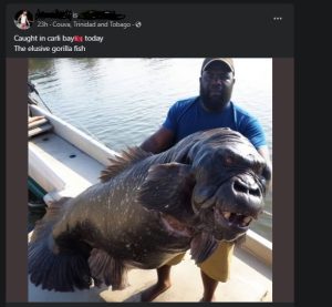 Is The Algerian Gorilla Fish Real or Fake? (Fact Check) - Gistvic Blog