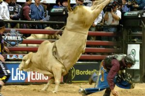 God Mode Bull real or fake? (25 million dollar bull) - Full Details ...