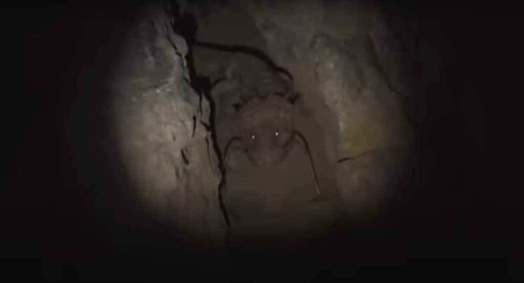 Is Cave wyrm real or fake? (Revealed) - Gistvic Blog