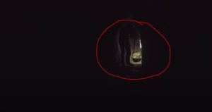 Is Cave wyrm real or fake? (Revealed) - Gistvic Blog