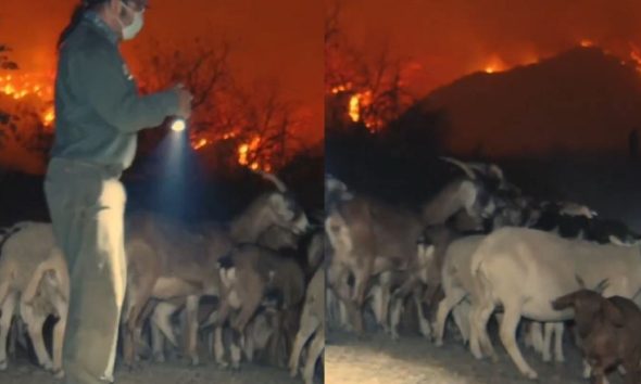 Haoyang Lake Wetland Park In China Real Or Fake Gistvic Blog